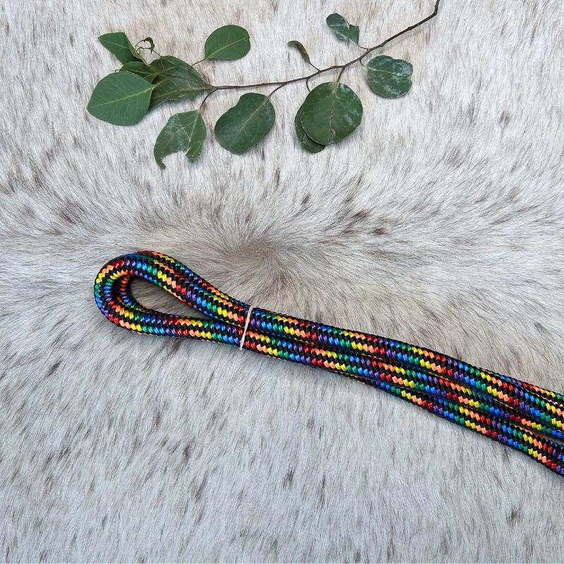 Rainbow Lead – 8ft – Ideal Western Saddlery